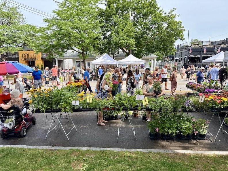 Celebrating nature, art & music at GardenFest, Strawberry Moon