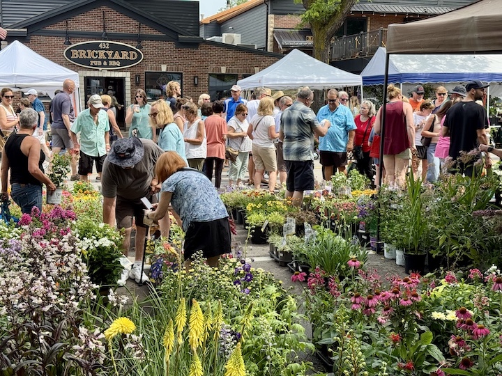 Celebrating nature, art & music at GardenFest, Strawberry Moon