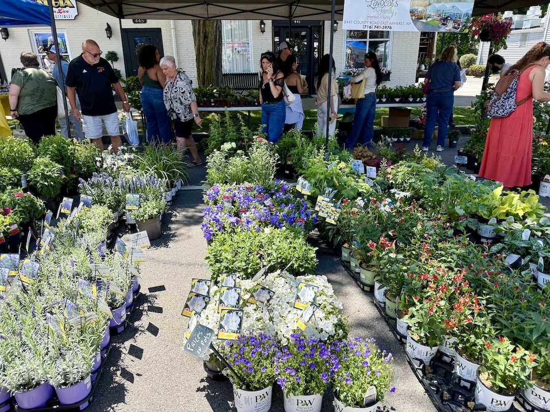 GardenFest celebrates 20 years in Lewiston
