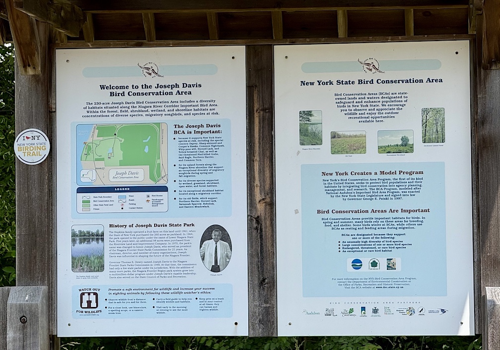 PHOTOS: New York State Parks unveils upgrades to Joseph Davis State Park