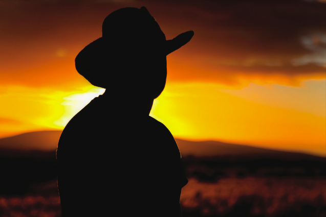 Gabby Barrett honors authentic country men in 'Cowboy Back'