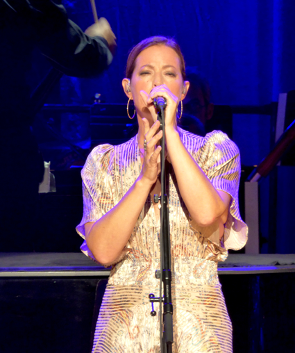 Photos: Sarah McLachlan shines with songs, stories, skill at Artpark