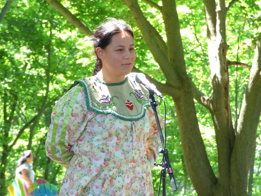 Photos: Artpark's Strawberry Moon Festival celebrates Indigenous people ...