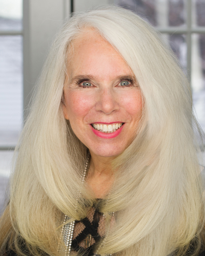 Joan Elizabeth Seamans running against Collins for 27th District