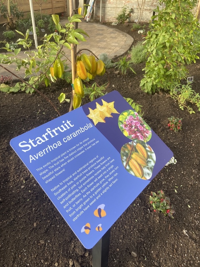 Botanical Gardens opens new tropical orchard exhibit after complete ...