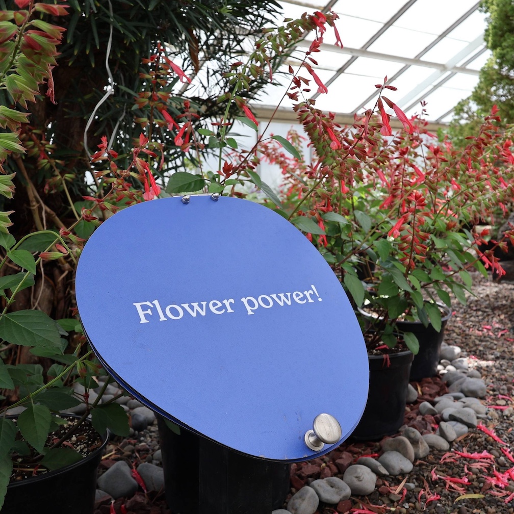 Buffalo and Erie County Botanical Gardens announces educational ...