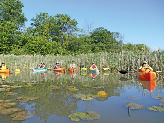 Unique recreation offering enjoyed by Golden Age members