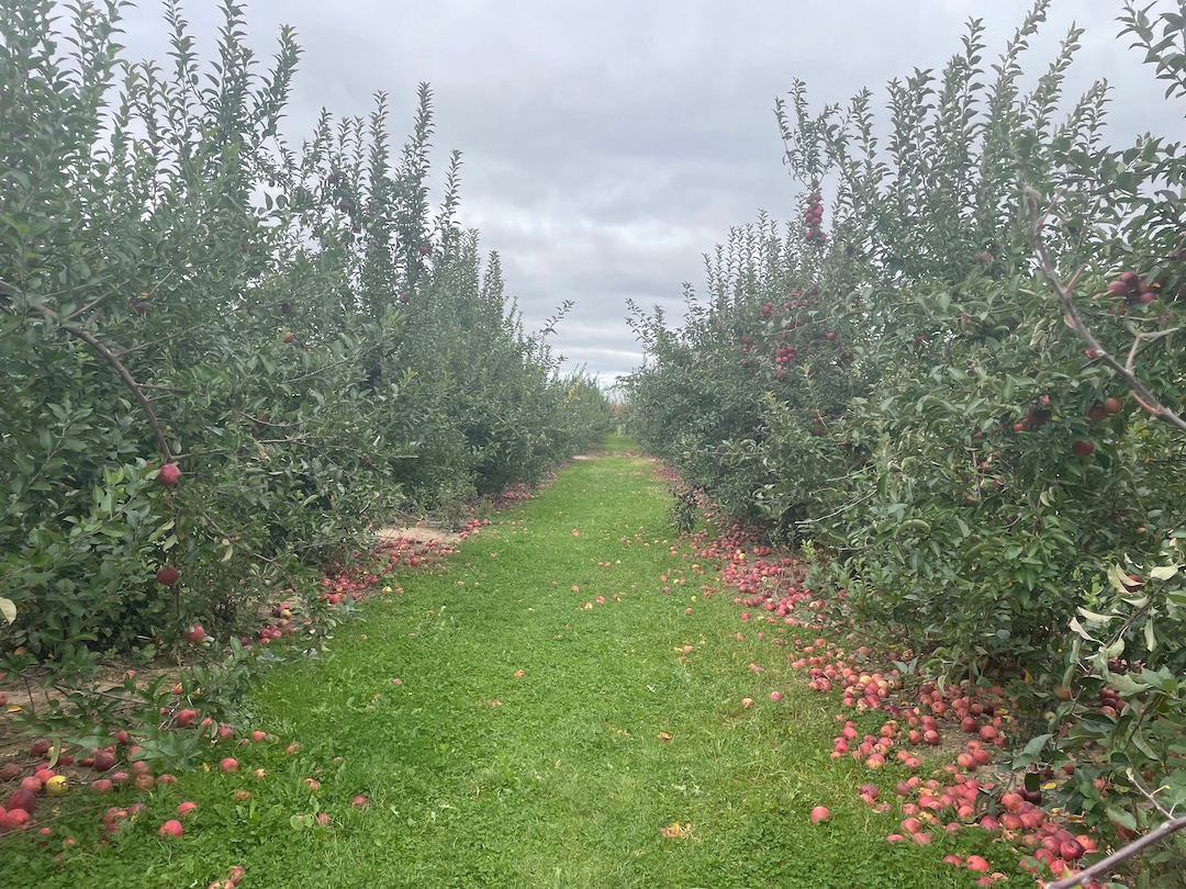 Becker Farms moving into fall programming