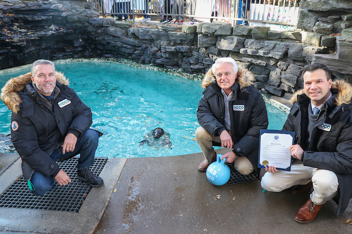 Aquarium of Niagara: Stryker the harbor seal predicts cold winter in WNY