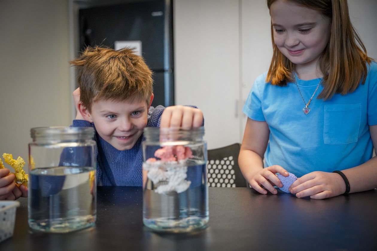 United Way x Aquarium of Niagara: Grant supports camp scholarships