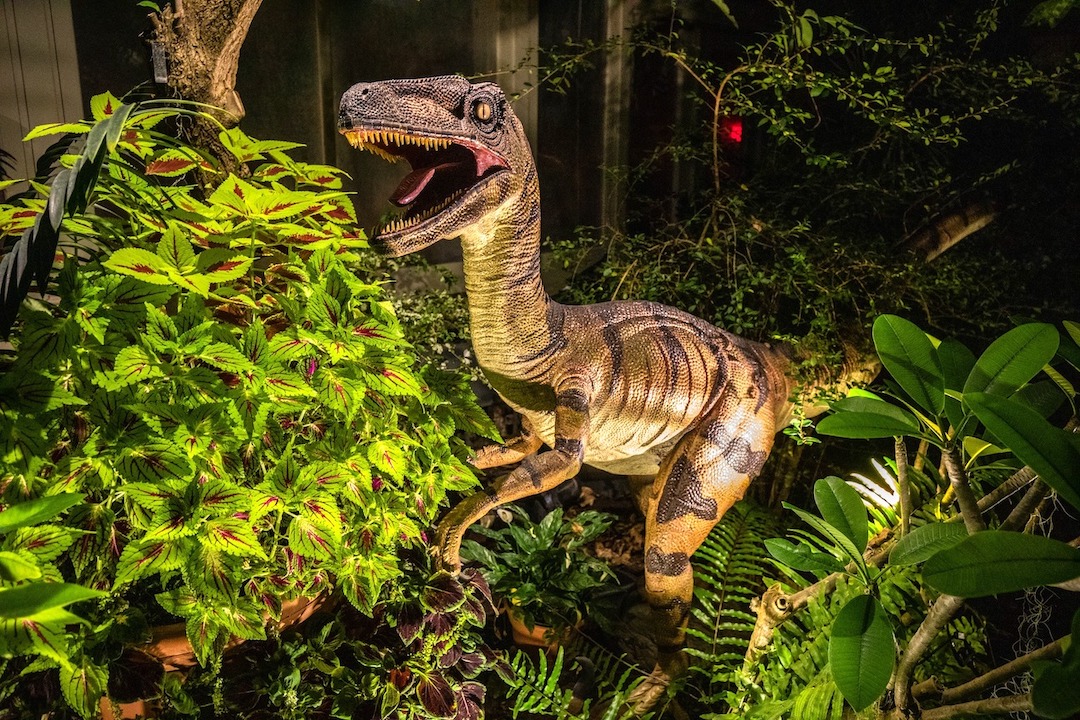 'Creatures After Dark': Dinosaurs, fossils and plants, oh my!