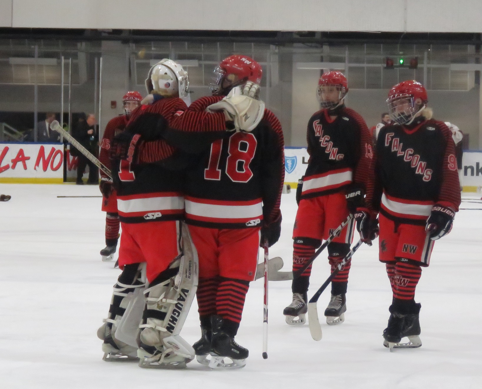 Niagara-Wheatfield falls in Section VI hockey final