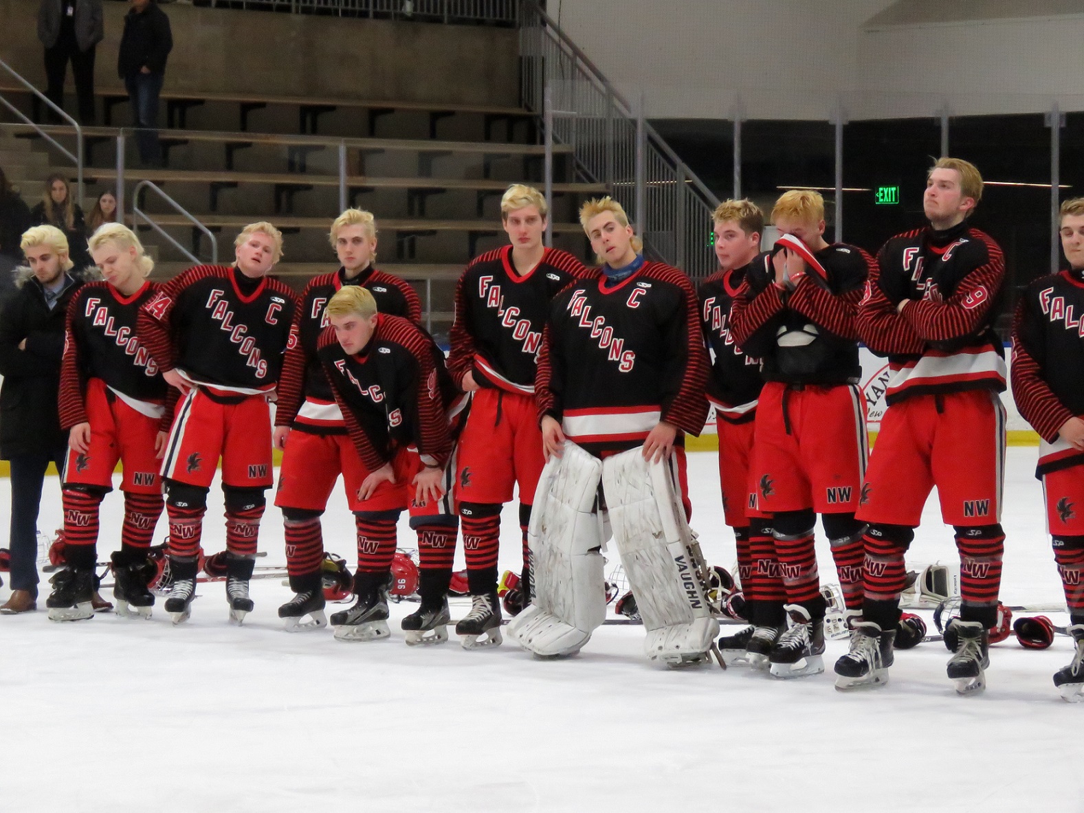 Niagara-Wheatfield falls in Section VI hockey final