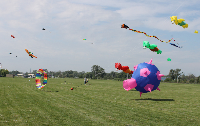 PHOTOS: High-flyers at Gratwick